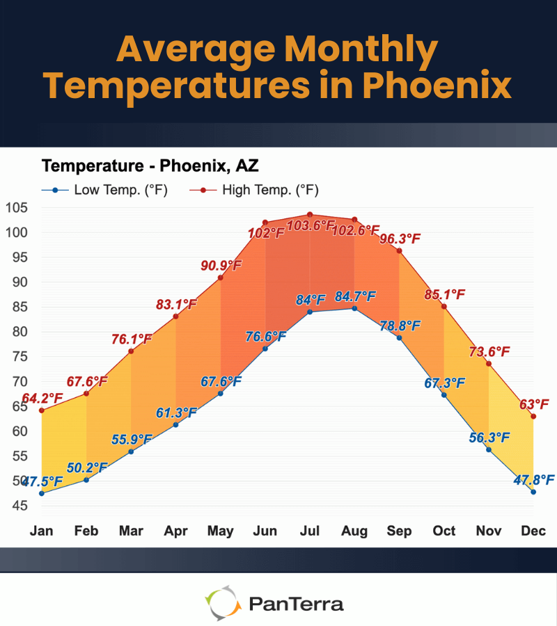 Exploring Phoenix Elevation and what it means for businesses